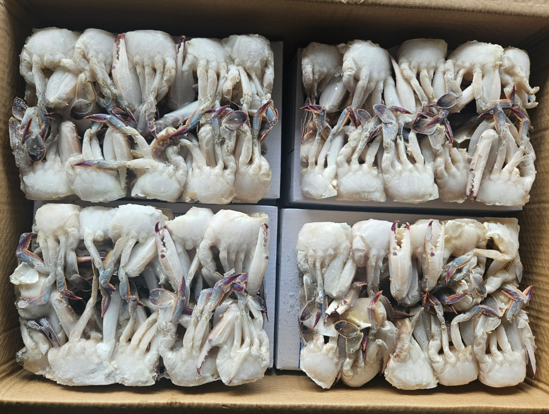 [차별화상회] 중국산 냉동 절단꽃게 L 450g/PK