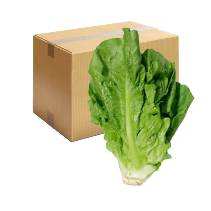 [차별화상회] 국내산 통로메인 상품 2kg/box