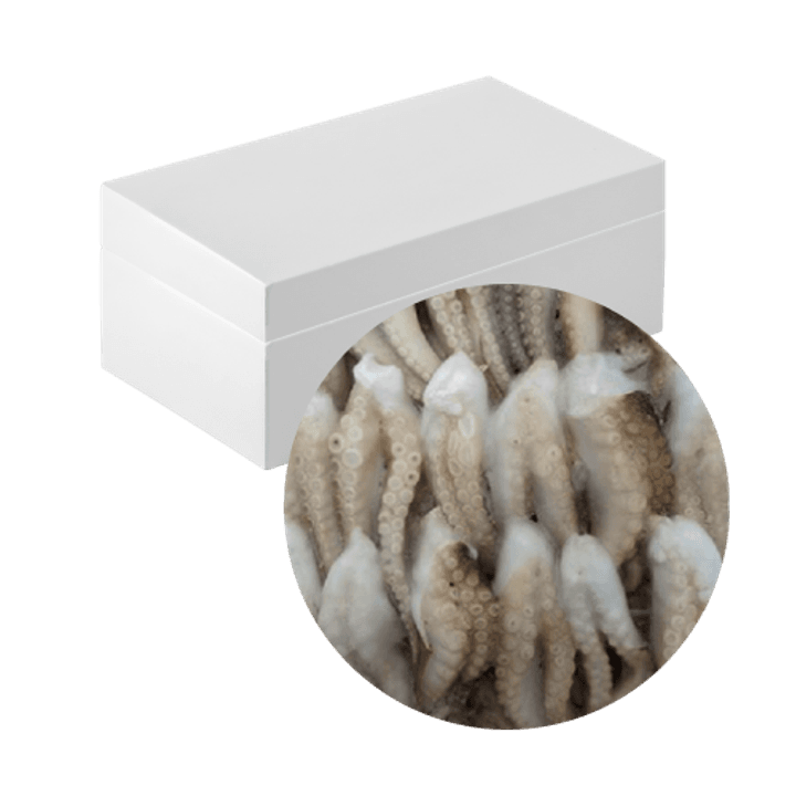 [차별화상회] 베트남산 냉동 쭈꾸미 L 900g/PK